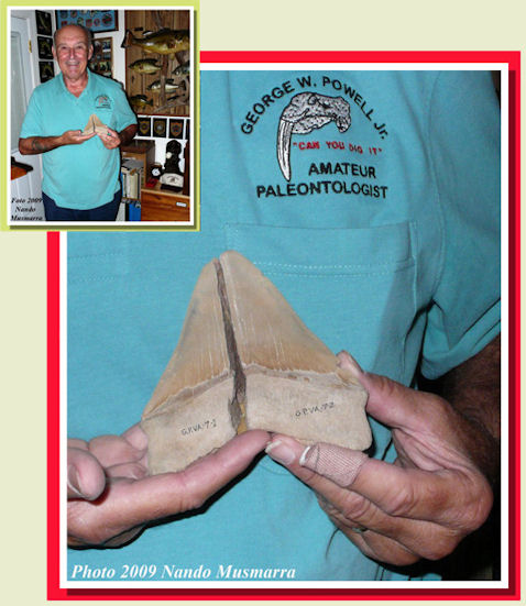 La collezione di George W. Powell Jr.