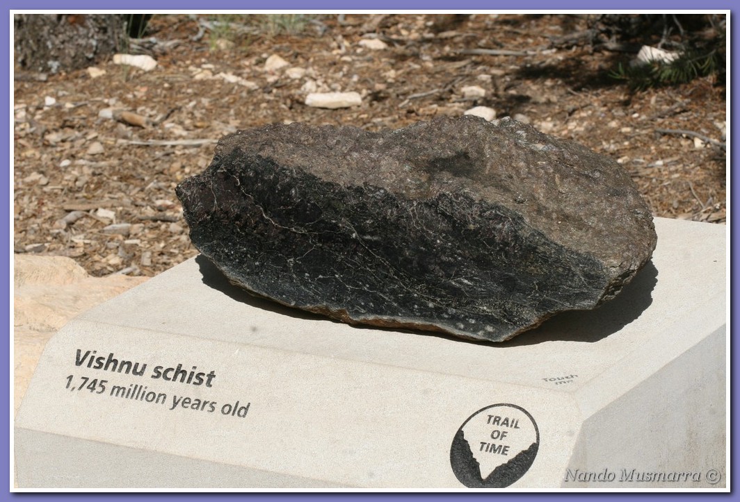 A Spasso con la Geologia: il Grand Canyon Pietra su Pietra - The ...