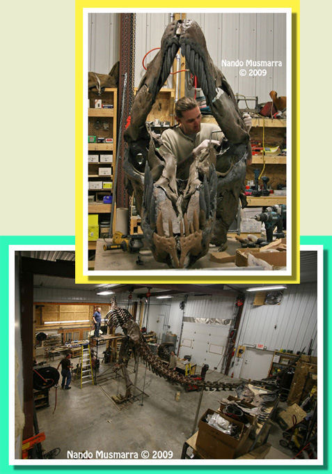 South Dakota - The Black Hills Institute