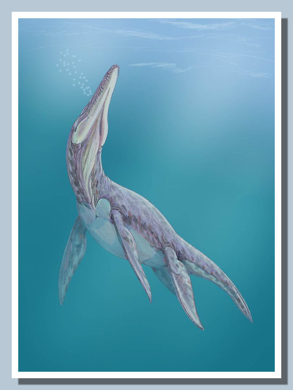 The Largest Pliosaurid from North America